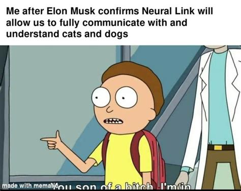 Neuralink Meme By Slurpmaldo Memedroid