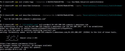 How To Create Vpc Subnets Route Tables Security Groups And Instances Using Aws Cli Dev