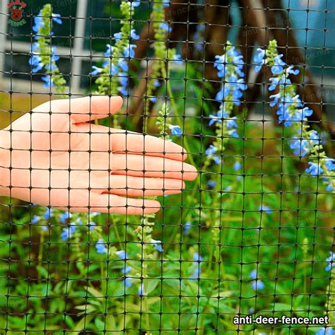 Precautions To Consider To Avoid Damage To A Deer Screen Anti Deer Fence Net