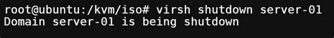 How To Use Virsh And Manage Linux Kvm
