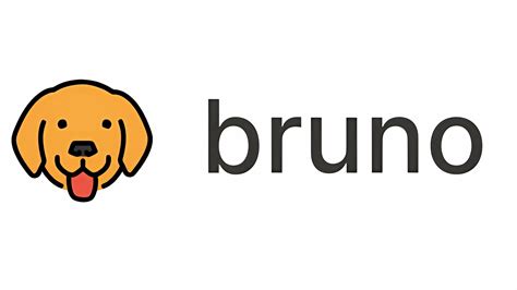 Meet Bruno Revolutionizing Api Management With Privacy And Simplicity Abdul Aziz Ahwan