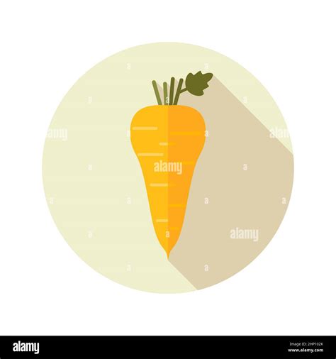 Parsnip Root Flat Icon Vegetable Vector Illustration Stock Photo Alamy