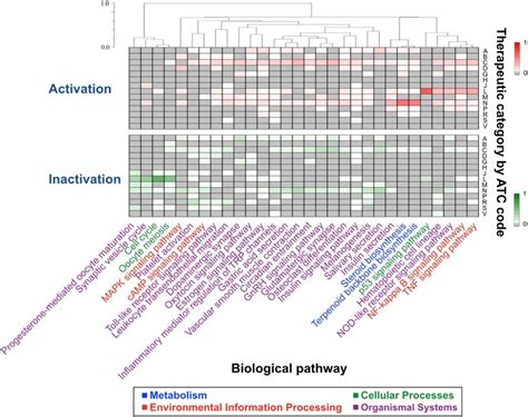 Distribution Of Drug Classifications According To The Biological