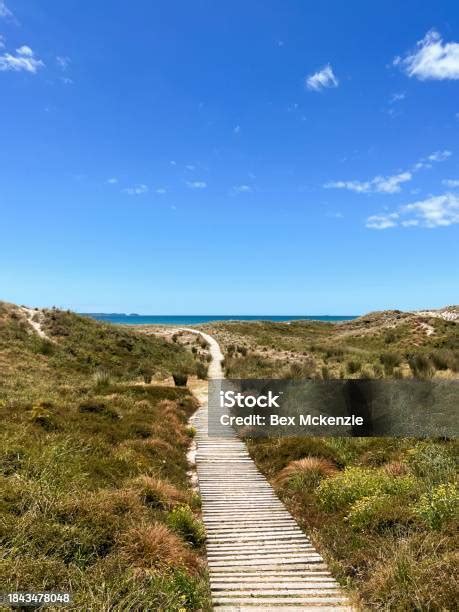 뉴질랜드 마웅가누이 산의 풀이 무성한 모래 언덕을 지나 해변과 바다로 이어지는 소박한 나무 길 마웅가누이 산에 대한 스톡 사진 및 기타 이미지 Istock