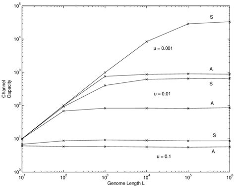 The Channel Capacity As A Function Of Genome Size For Sexual And Download Scientific Diagram