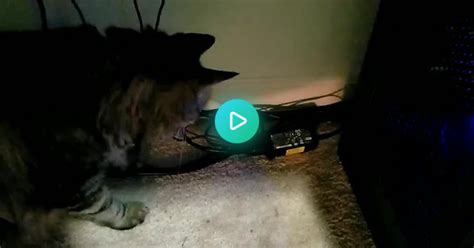 Why Does She Do This Album On Imgur Why Does She Do This Album On Imgur