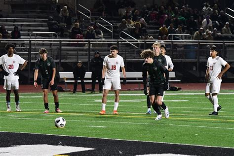 Tricia Darcy Kp Times