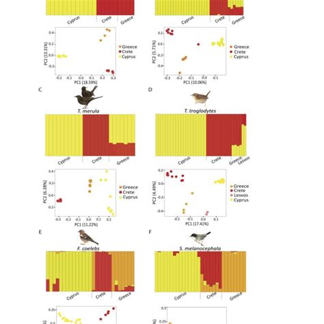 Af Population Clustering In The Six Species Based On SNP Data From Download Scientific