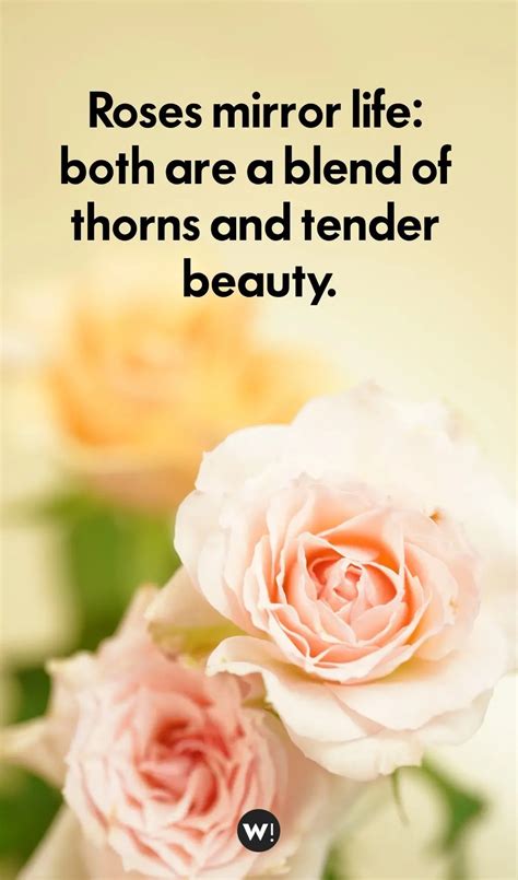 Rose Bush Quotes Quotes About Roses