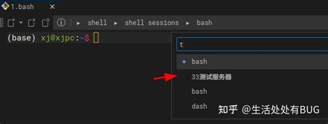 Windterm SSH Sftp Shell Telnet Serial 客户端 知乎