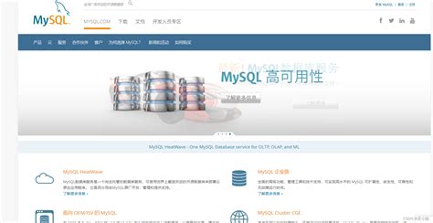 Windows 安装MySQL教程 零基础 CSDN博客
