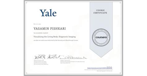 yasamin pishkari on linkedin completion certificate for visualizing