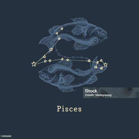 조각 스타일의 물고기자리의 조디악 별자리 점성술 기호 물고기의 벡터 복고풍 그래픽 그림입니다 물고기자리에 대한 스톡 벡터 아트 및 기타 이미지 Istock