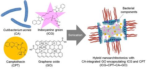 Bacteria Enhanced Graphene Oxide Nanoparticles For Triple Action Tumor Erradication