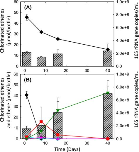 Dehalococcoides Mccartyi Semantic Scholar