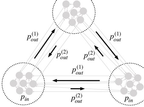 Schematic Plot Showing A Network Generated With Asymmetric Planted