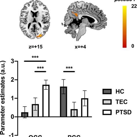 Comparison Of Patterns Of Intrinsic Connectivity Network Centrality Download Scientific