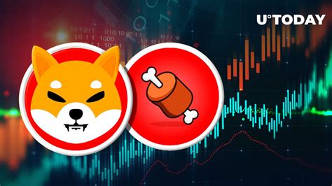 Shiba Inu S Bone Sees 205 Rise In Volume As Price Tumbles What S
