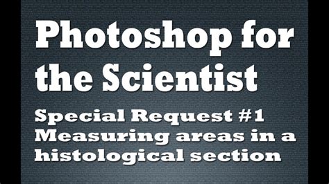 Using Photoshop To Measure Areas In A Histological Section Youtube