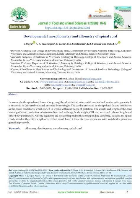 Pdf Developmental Morphometry And Allometry Of Spinal Cord
