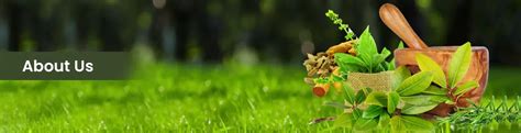 Our Proprietary And Classical Products Koncept Solution Blog