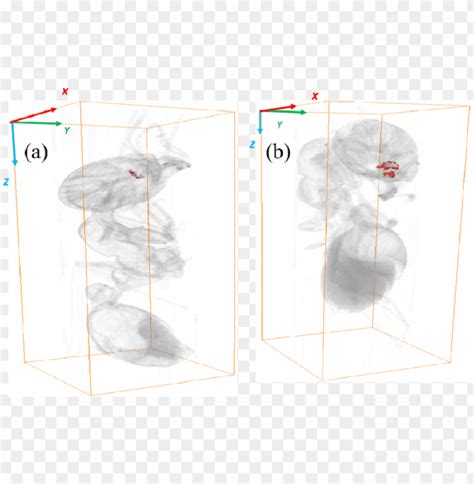 Three Dimensional X Ray Imaging Of Ucnps Inside Two Common Fi Png