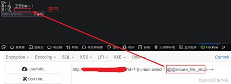 【web安全】sql注入 csdn博客