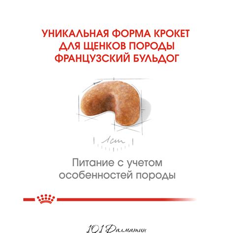 Роял Канин Корм для щенков французский бульдог до 12 месяцев – купить в ...