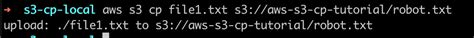 aws s3 cp [copy] command overview with examples