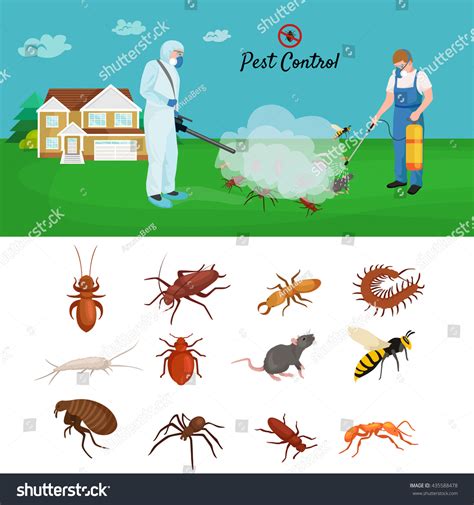 Pest Control Concept Insects Exterminator Silhouette Stock Vector