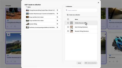 Use Collections In Aem Assets Content Hub Adobe Experience Manager