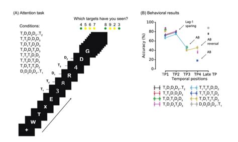 Attention Task And Behavioural Results A Conditions And The Trial Download Scientific