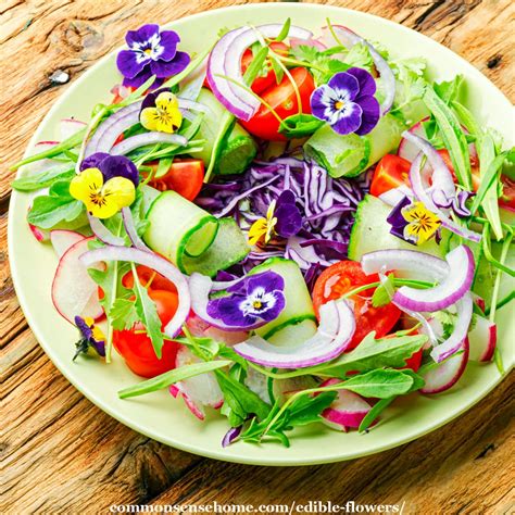 Gardening Articles On Common Sense Home