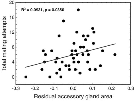 Relationship Between Accessory Gland Area And Total Mating Attempts Download Scientific Diagram