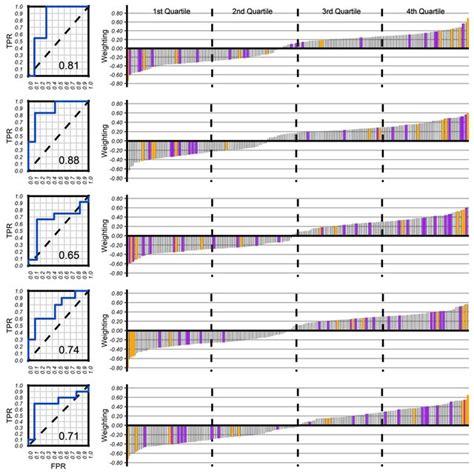Performance Curves And Feature Weighting Across Models Roc Curves For