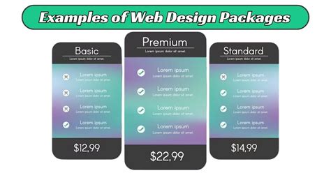 Examples Of Web Design Packages Vivid Examples