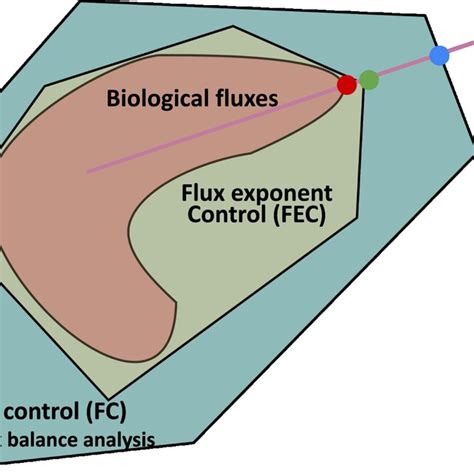 Illustration Of Constraint Based Methods The Arrow Represents The Download Scientific Diagram