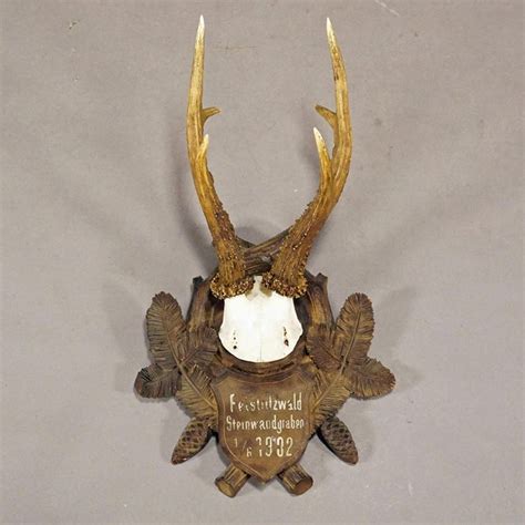 Great Deer Trophy Mount On Wooden Carved Plaque 1902 Chairish