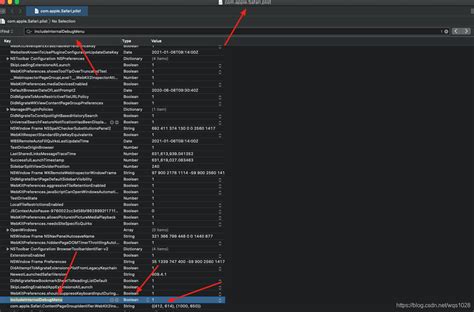 Ios开发 手机 Ios 14版本无法通过网页检查器web Inspector调试网页的问题web Inspector Ios一直go To Setting Csdn博客