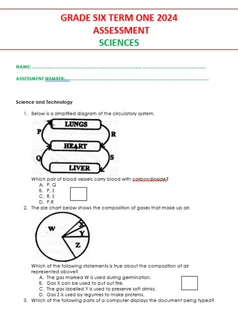 Grade 6 Exams 2024 Questions And Answers Download