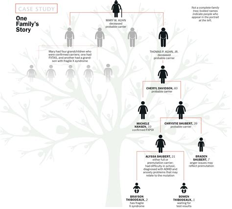 Fragile X Syndrome In Girls Revised Fragile X Genetics