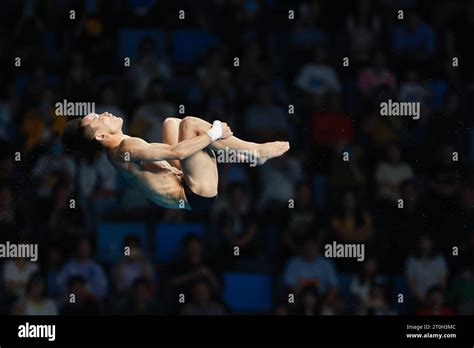 Chinese Divers Yang Hao Bai Yuming Win Championship Runner Up At The