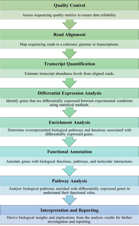 Rna Seq Pipeline Helixomix Analytics