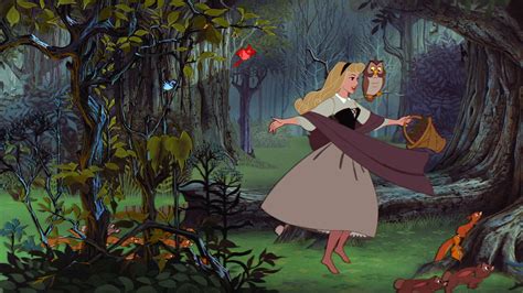 Princess Aurora Forest