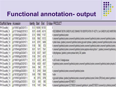 Genome Annotation 2013 Ppt