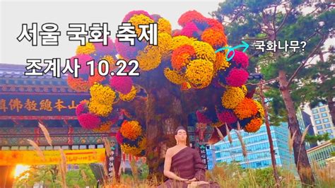🌺 서울 국화 축제 조계사 종로 꽃 구경 당일치기 국내여행 Day Domestic Trip Youtube