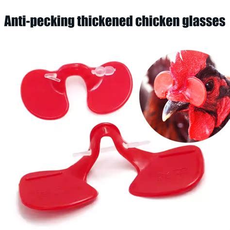Chicken Chicken Waterer Poultry Supplies 10 Pack Chicken Glasses Anti