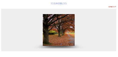 vue 使用swiper vue 方块3d csdn博客