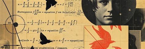 Understanding Quadratic Equations