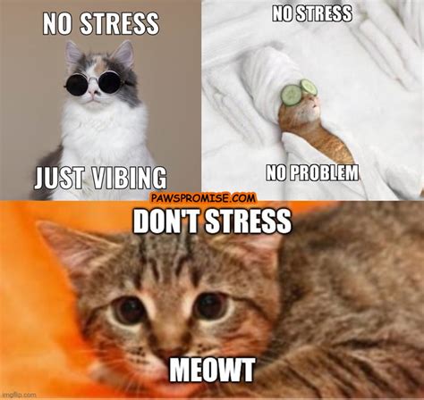 If A Problem Can Be Solved There Is No Use Worrying About It 9gag